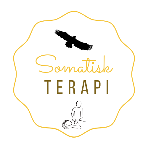 Somatisk Terapi